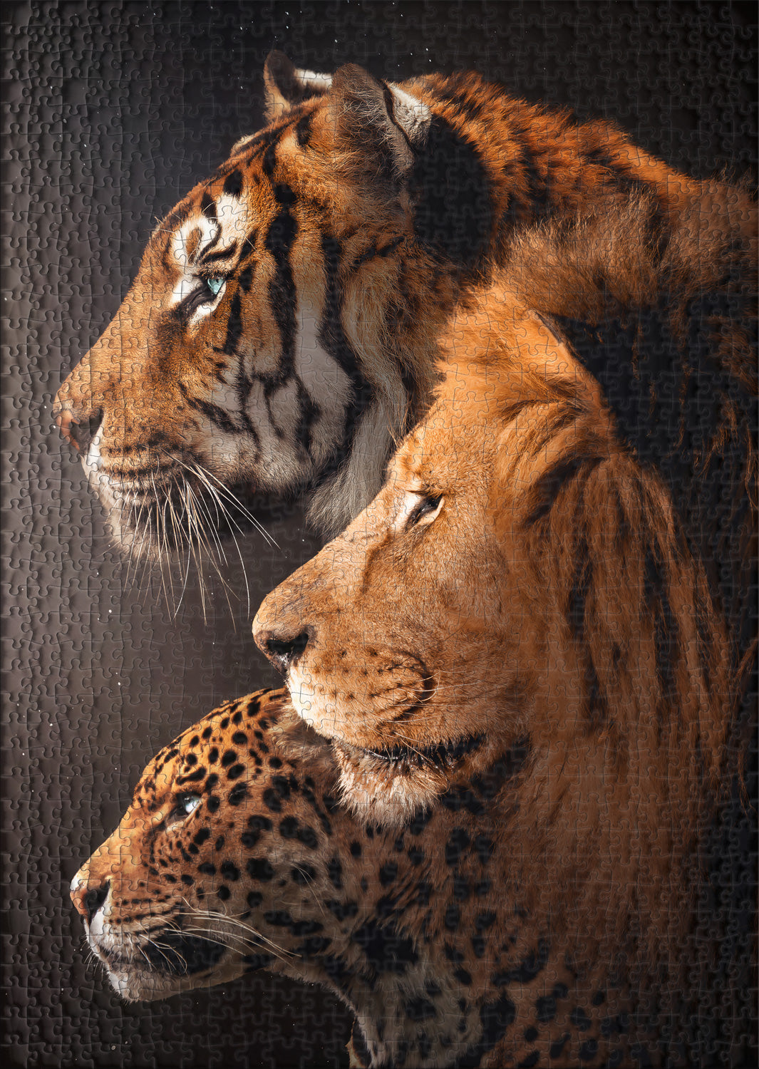 Predators - Puzzle Collection – Ulmer Puzzleschmiede
